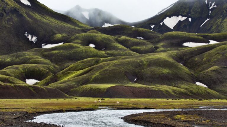 Iceland in June - Weather, Fun Things to Do & What to Expect - All ...